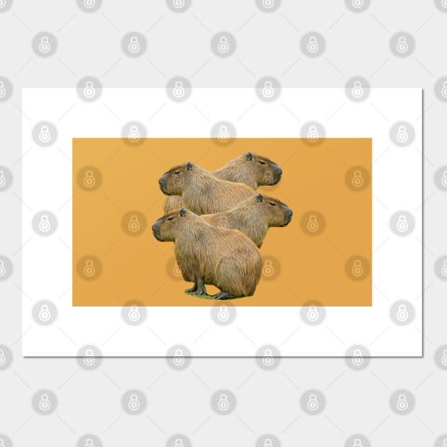 Capybara Stack - Capybara - Posters and Art Prints | TeePublic