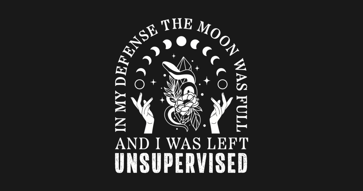 In My Defense The Moon Was Full And I Was Left Unsupervised - Full Moon ...