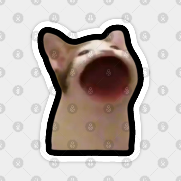 Pop Cat My Beloved Cat Meme Oatmeal - Pop Cat Meme - Magnet | TeePublic