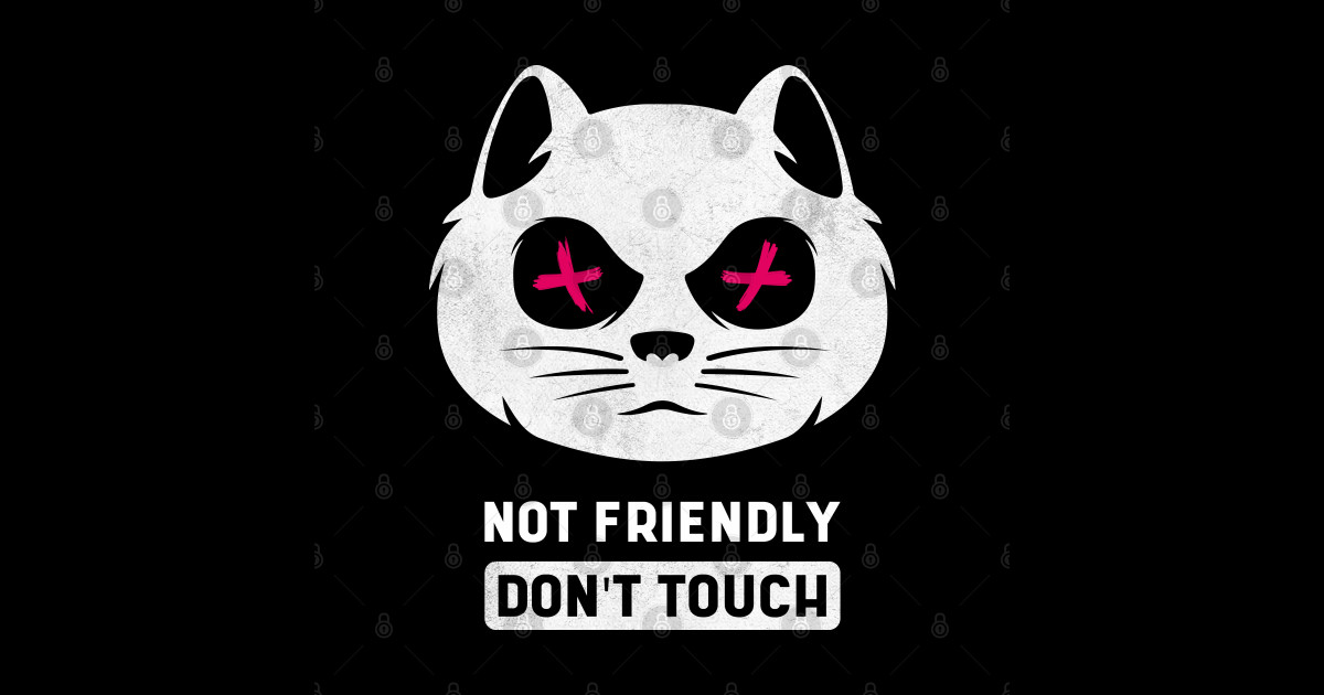 Not Friendly Do Not Touch - Not Friendly Do Not Touch - Sticker | TeePublic