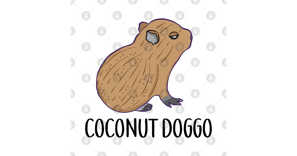 Coconut Doggo Capybara Cute Meme Kawaii Baby Capybara - Capybara - T ...