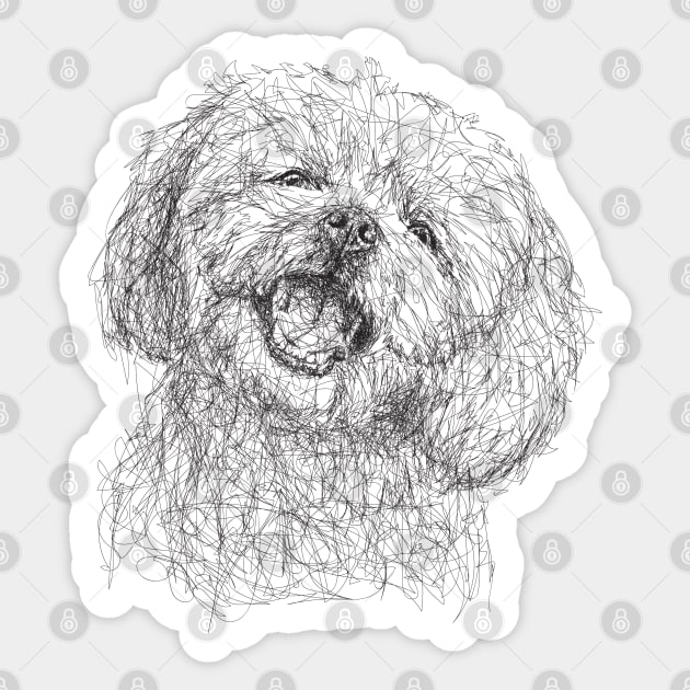 how to draw a maltese puppy
