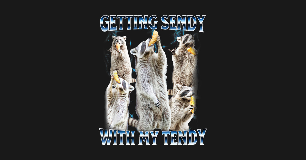 Getting Sendy with My Tendy - Raccoons Cuteness - T-Shirt | TeePublic