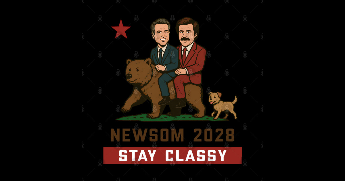 Gavin Newsom 2028 Election California Flag - Gavin Newsom - Sticker ...