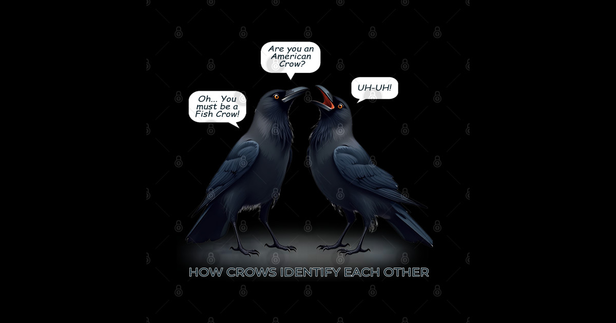How Crows identify Each Other - Crows Corvids Ravens Birdwatching ...