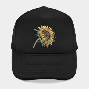 Anti Trump Hats for Sale | TeePublic