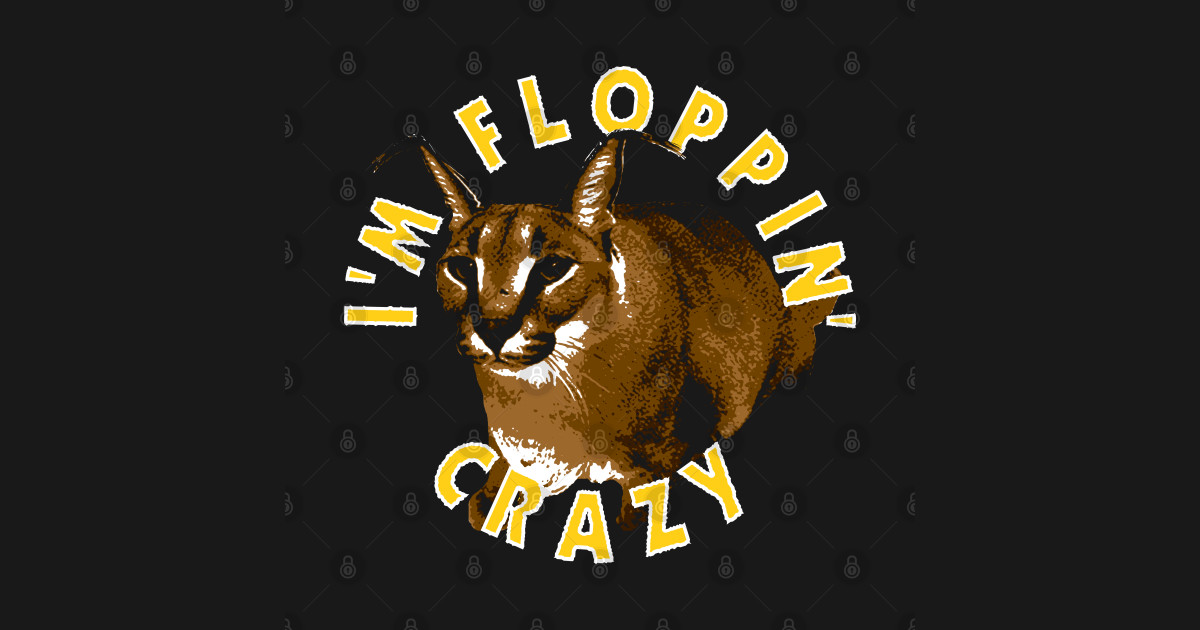 I'm Floppin Crazy - Big Floppa - Meme - T-Shirt | TeePublic