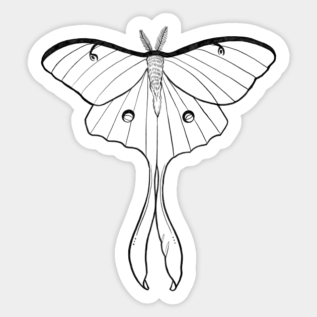 Minimalistic Luna Moth Design - Minimalistic Luna Moth Design - Sticker ...