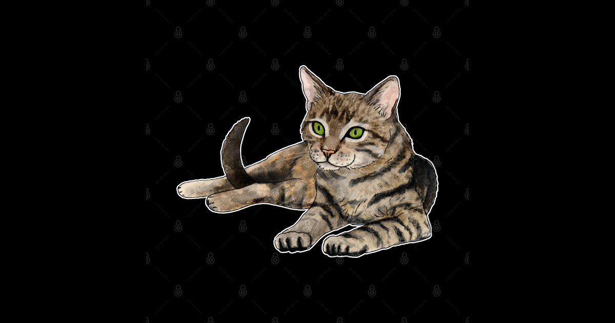 Tabby cat - Tabby Cat - Sticker | TeePublic