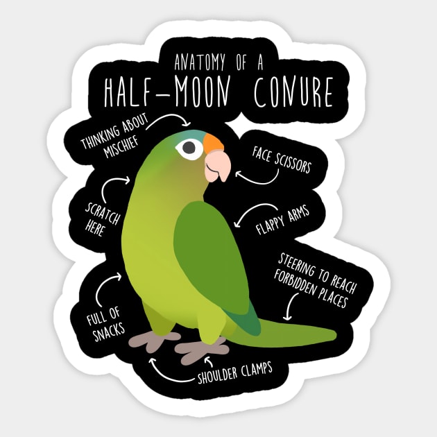 Half-Moon Conure Parrot Anatomy - Half Moon Conure - Sticker | TeePublic