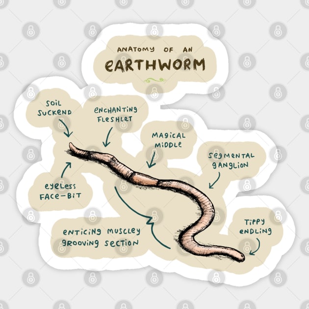 Anatomy of an Earthworm - Vintage - Sticker | TeePublic