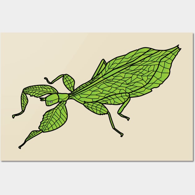 how to draw leaf insects