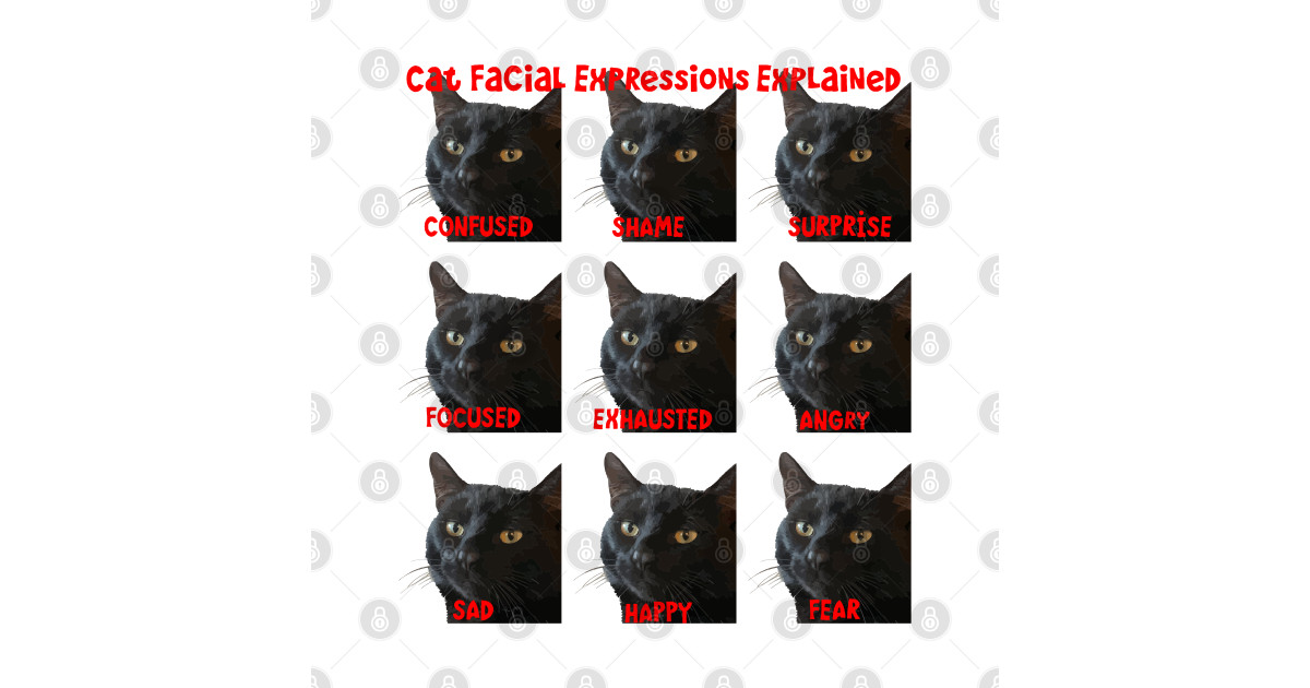 Cat Facial Expressions Explained Chart Cut Out - Cat Humor - T-Shirt ...