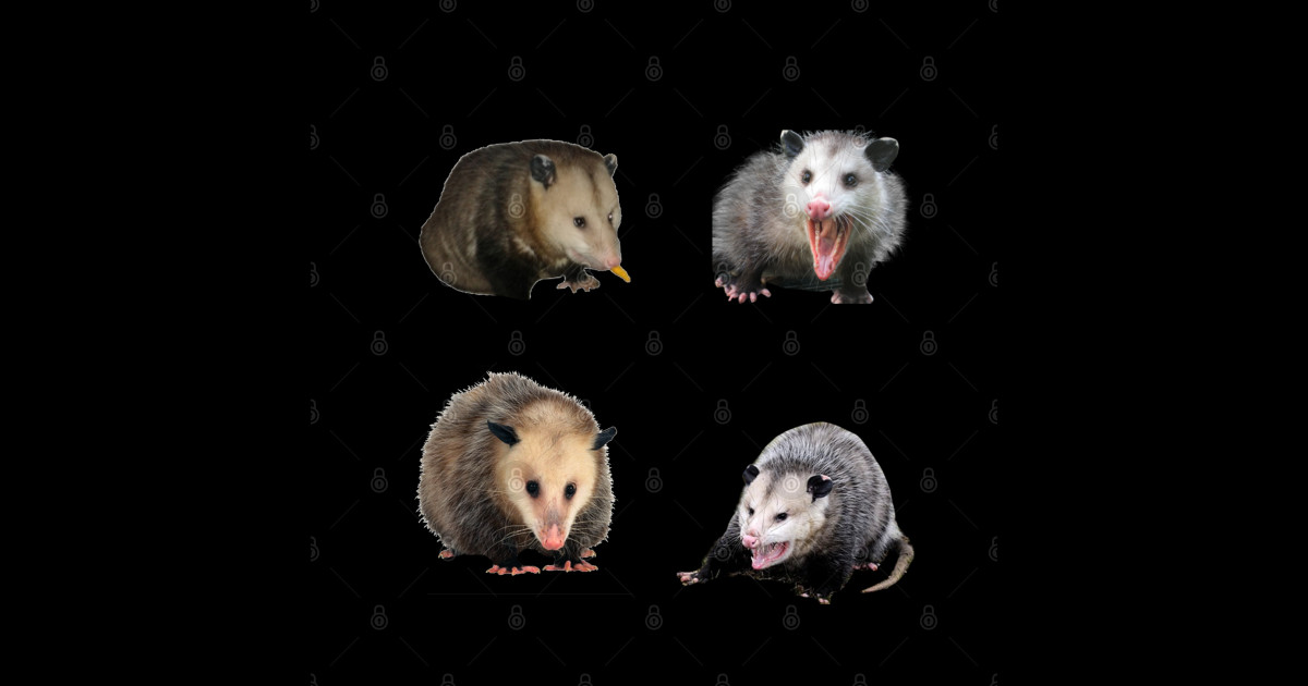 Possum Sticker Pack - Possum - Sticker | TeePublic