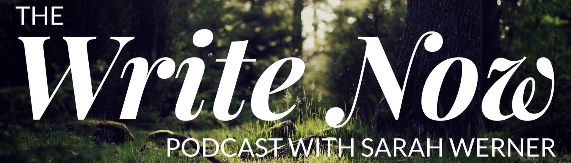 The Write Now Podcast | Official Merch Store