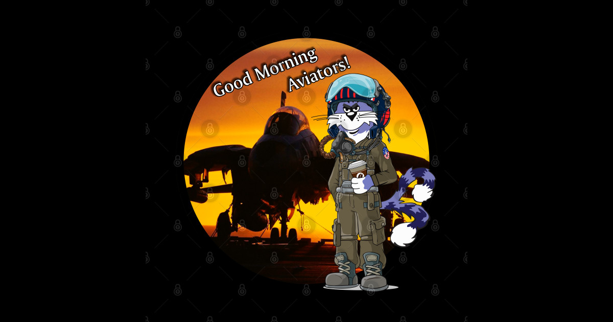 F-14 Tomcat - Good Morning Aviators - F14 Tomcat Fighter Jet - Posters ...