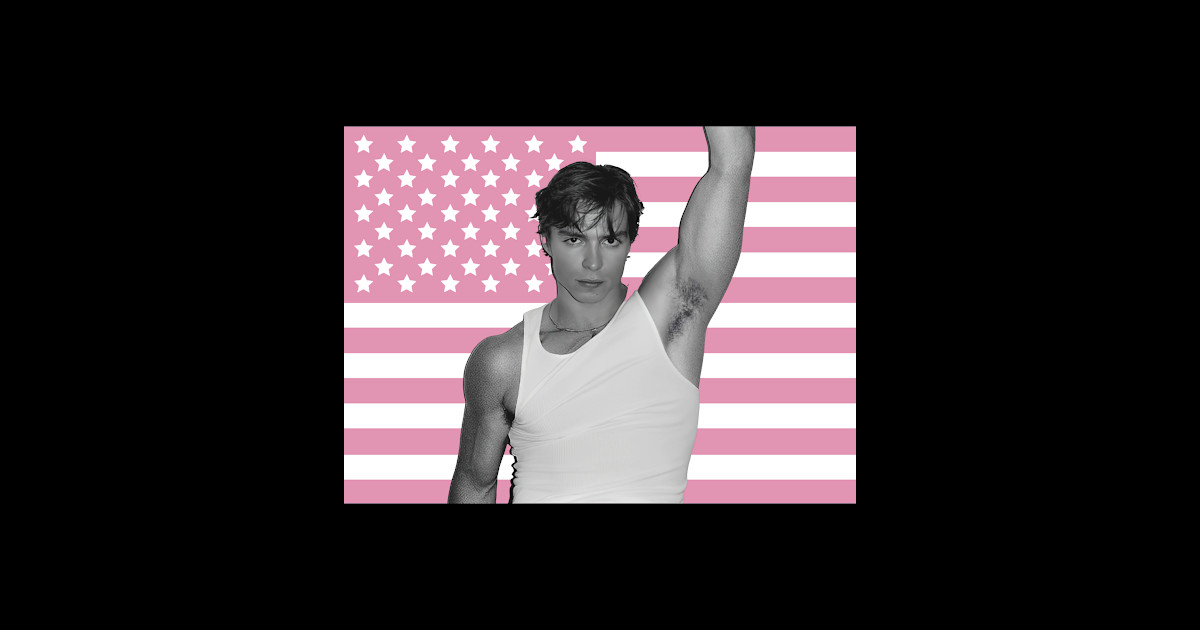 Nicholas Chavez Pink American Flag - Nicholas Chavez - Posters and Art ...