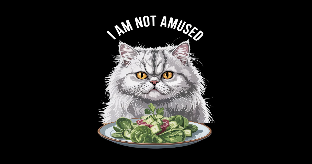 Dinner Table Cat Meme Funny Internet Yelling - Dinner Table Cat Meme ...