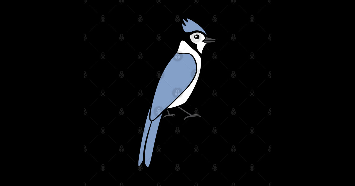 Cute Blue Jay Bird Drawing - Blue Jay - Sticker | TeePublic