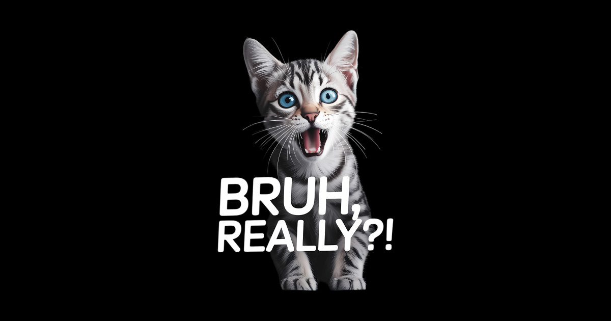 Bruh Funny Cat Meme Sarcastic Shocked Cat Face - Bruh Funny Cat Meme ...