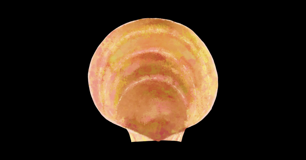 Scallop Shell - Atlantic Sea Scallop - Sticker | TeePublic