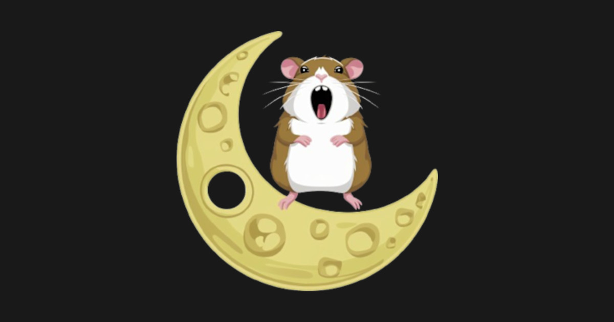Cute Funny Hamster Screaming Moon Sad Hamster Meme T-Shirt Youth T ...