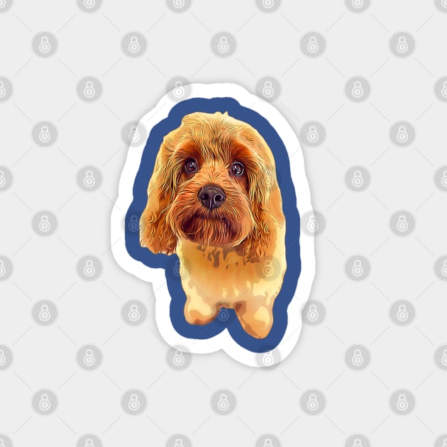 Cavapoo Doodle Cavoodle Cockapoo Goldendoodle Labradoodle Puppy Dog ...