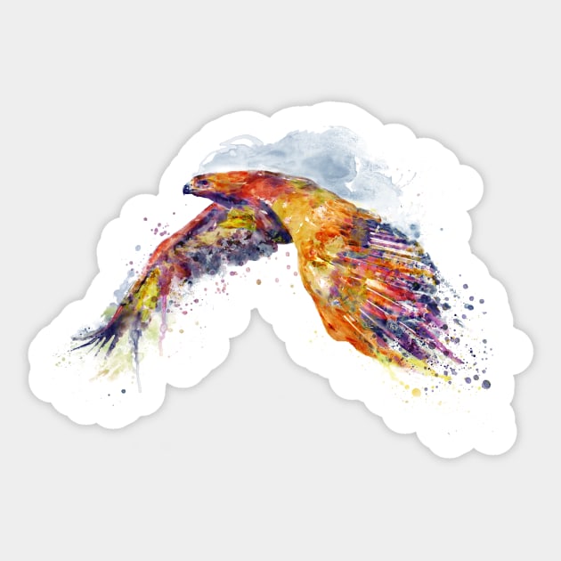 Red-Tailed Hawk Watercolor - Red Tailed Hawk - Sticker | TeePublic