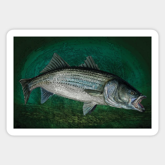 Striped Bass Fishing Art Print - Fishing - Sticker | TeePublic