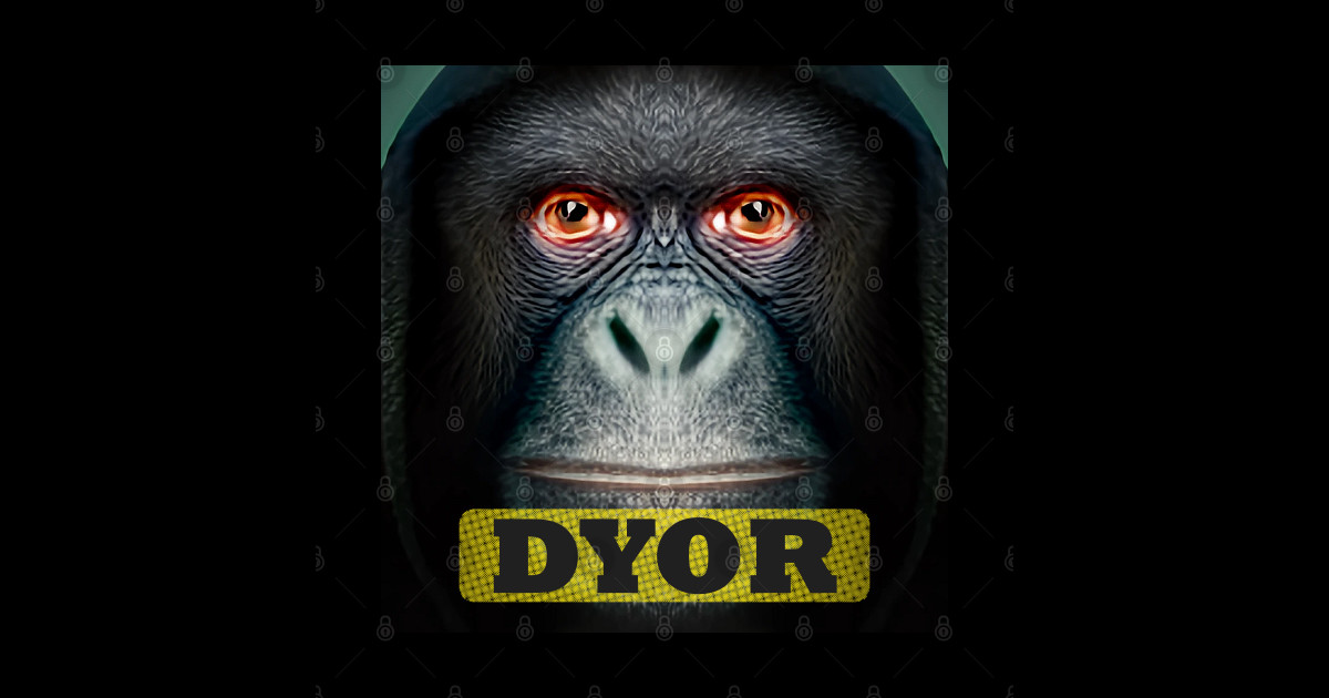 Funny Monkeys Humorous Apes Animals memes - Funny Animals Monkeys Apes ...