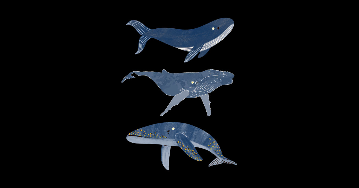 Whale Sticker Pack - Whale - Sticker | TeePublic