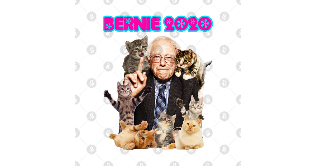 Bernie 2020 and Cats - Bernie 2020 - T-Shirt | TeePublic