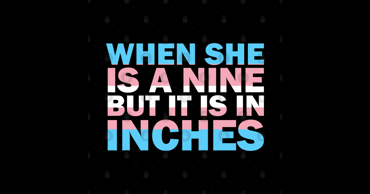 when she is a nine but i is in inches (trans) - Trans - Sticker | TeePublic