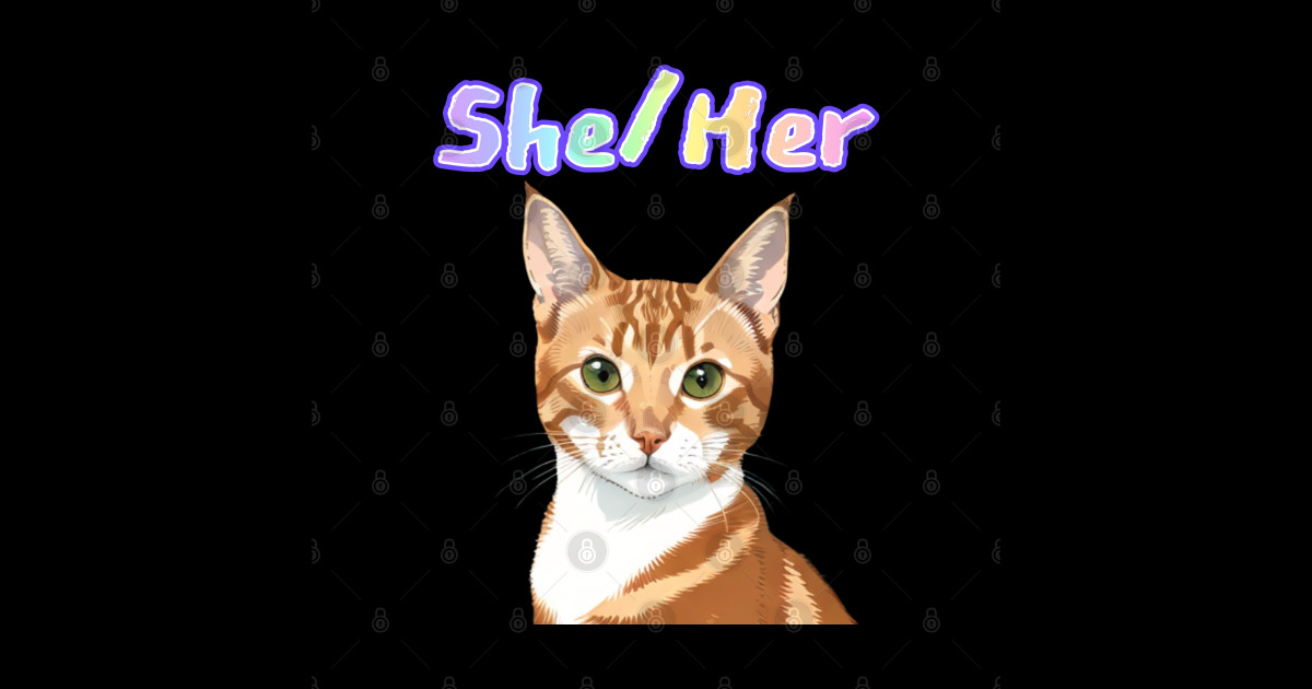 Crookie - She/Her Rainbow Text Purple - She Her - Sticker | TeePublic