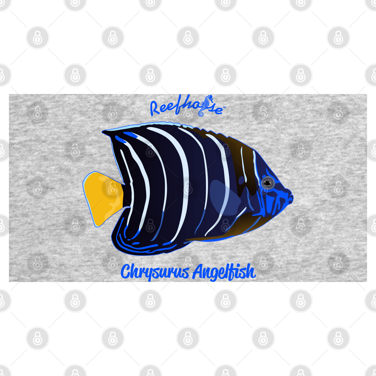 Chrysurus Angelfish - Reefhorse - T-Shirt | TeePublic