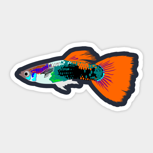 Guppy - Fish - Sticker | TeePublic