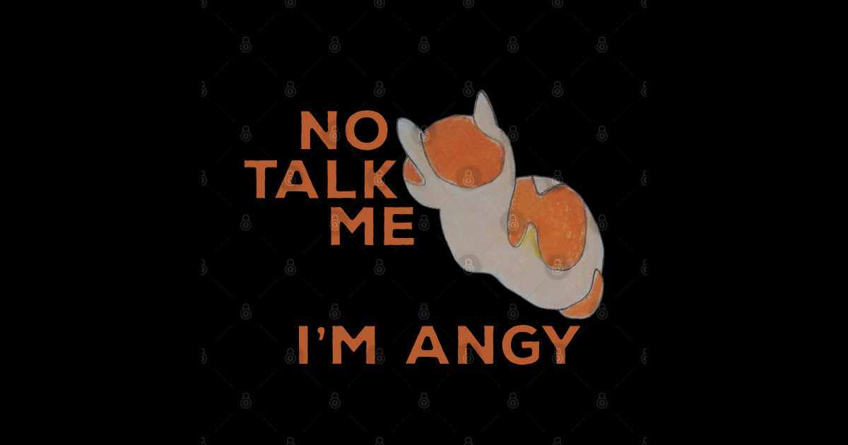 No Talk Me I'm Angy Cat Meme - Funny Cat Meme Saying Gift Idea ...