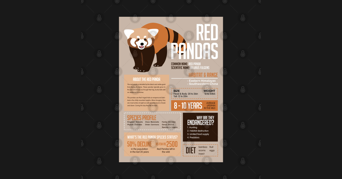 Red Panda Infographic - Red Panda - T-Shirt | TeePublic