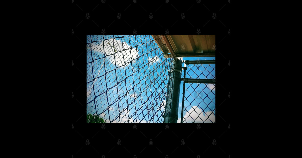 Inside the Dugout - Baseball Photography - Posters and Art Prints ...