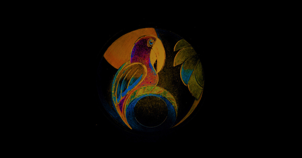 ART DECO PARROT ON BLACK - Parrot - Posters and Art Prints | TeePublic