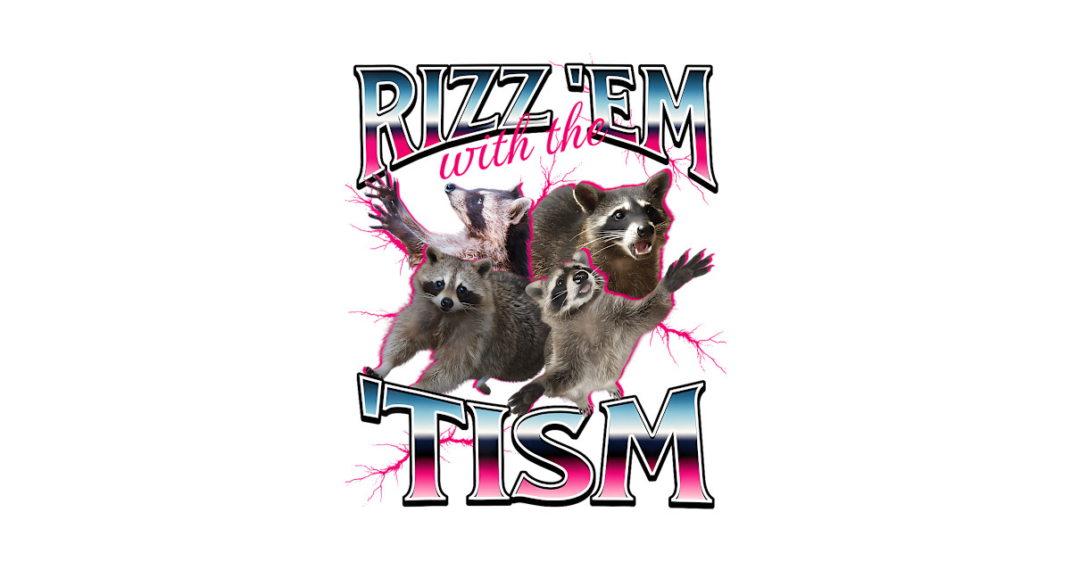 Autism Funny Rizz Em With The Tism Meme Autistic Racoon - Rizz Em With ...
