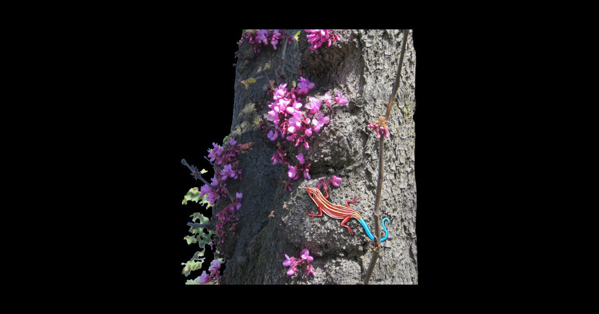 Skink in the tree blossoms - Lizard - Sticker | TeePublic