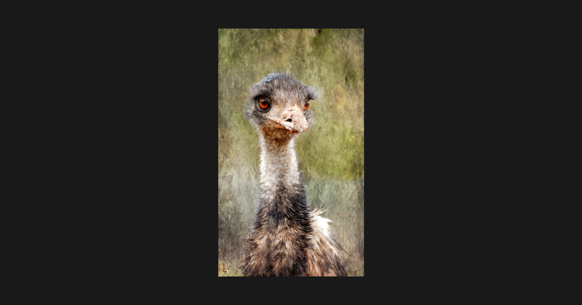 Portrait of an Emu - Emu - T-Shirt | TeePublic