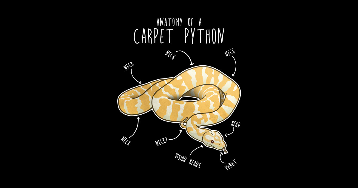 Albino Darwin Carpet Python Snake Anatomy - Albino Python - Sticker | TeePublic