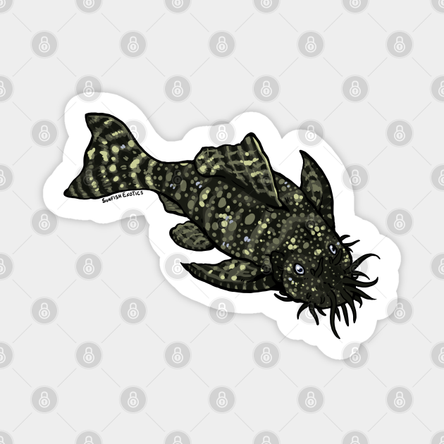 Bristlenose Pleco - Pleco - Sticker | TeePublic