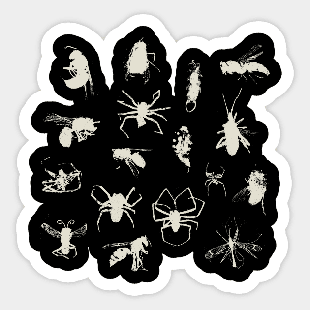 Bugs, wasps, spiders & earwig - Bugs - Sticker | TeePublic