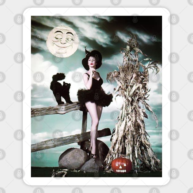 Witch Pin Up and Halloween Scary Evil Pumpkin - Witch Pin Up And ...