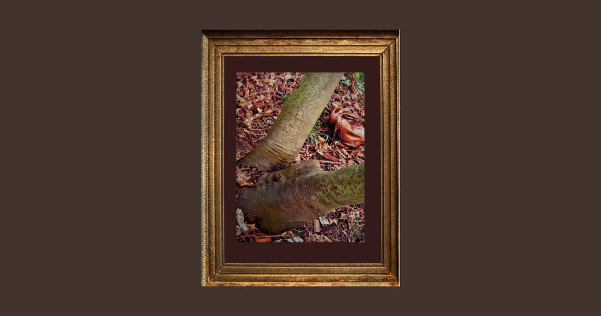 Dirty Tree Series Photograph Natural Art - Trees - T-Shirt | TeePublic