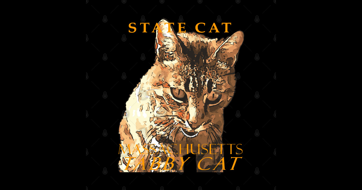 Massachusetts Territory Cat The Cute Tabby Cat - State Cat - Sticker ...