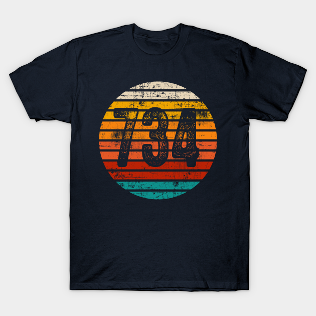 Distressed Vintage Sunset 734 Area Code - 734 Area Code - T-Shirt ...